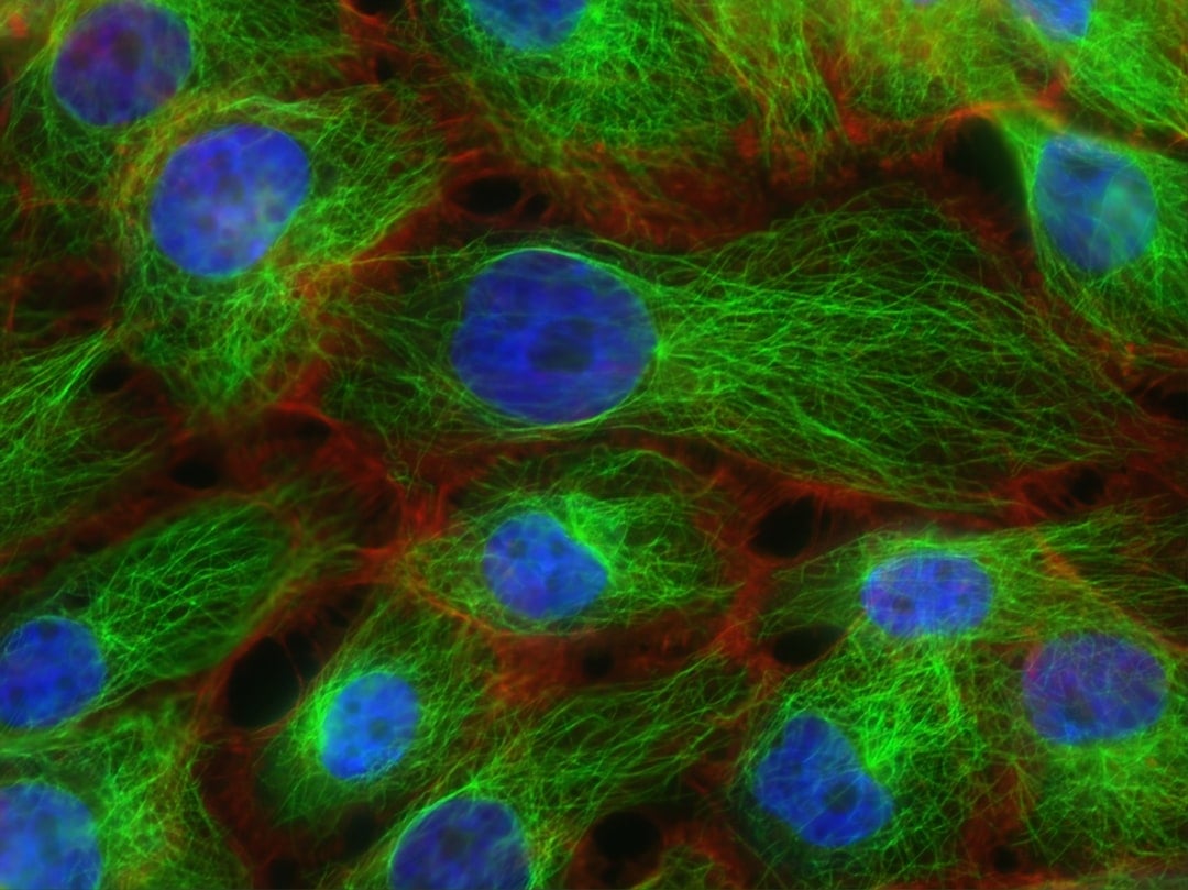 The genetic structure of Turkey | Genoplot
