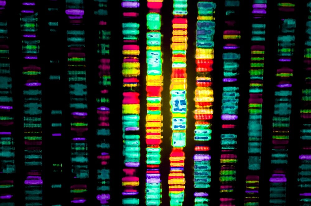 Northern Mediterranean-focused Global 25-based Vahaduo analysis | Genoplot