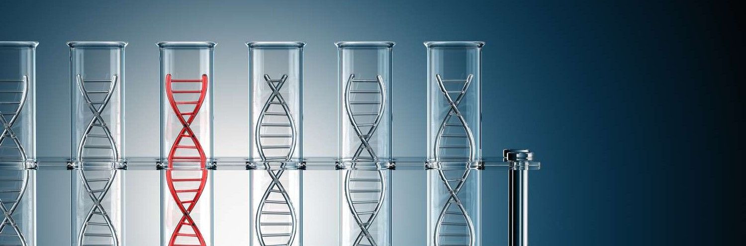 Discovery of ancient human DNA from a deer tooth pendant opens doors to ...